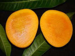 Malda Mango - Healthify Nutrifacts
